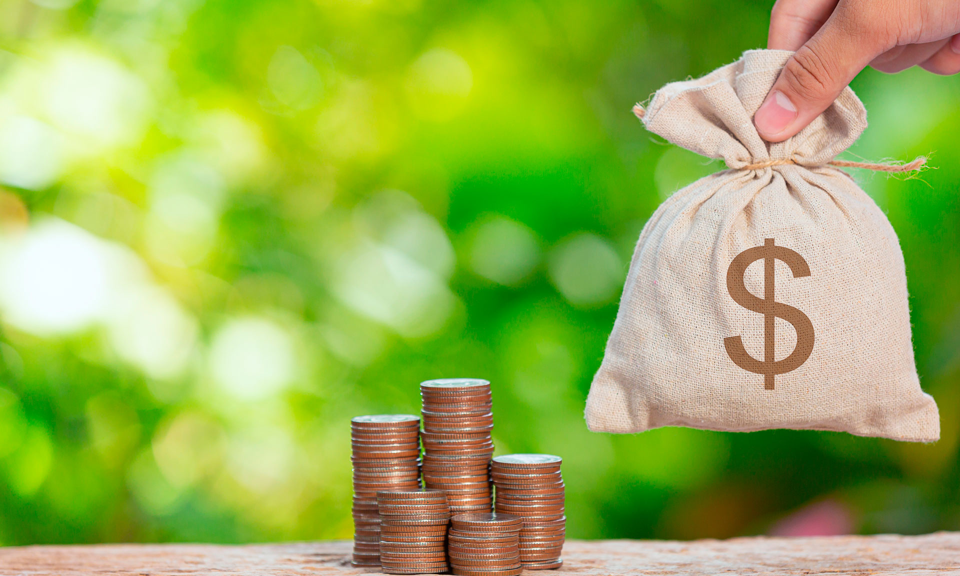 Identifica Cuáles Son Los Beneficios Económicos De Los Socios De Acinpro
